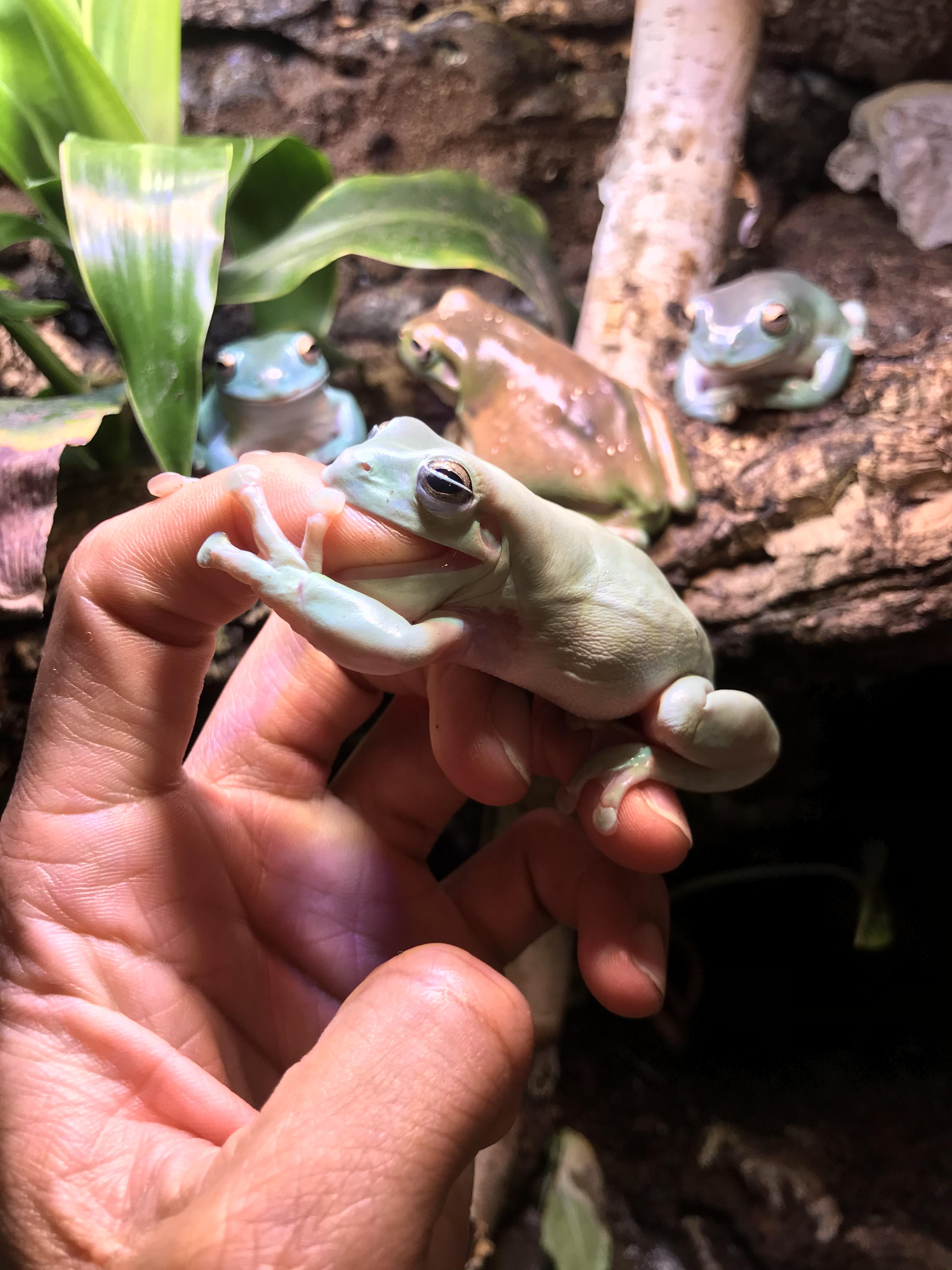 Dum dum give me gum gum | Scrolller