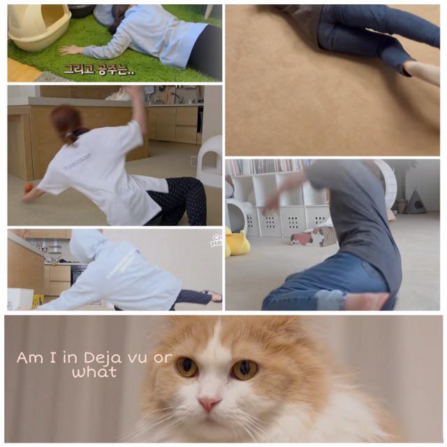 Dundun Déja vu | Scrolller