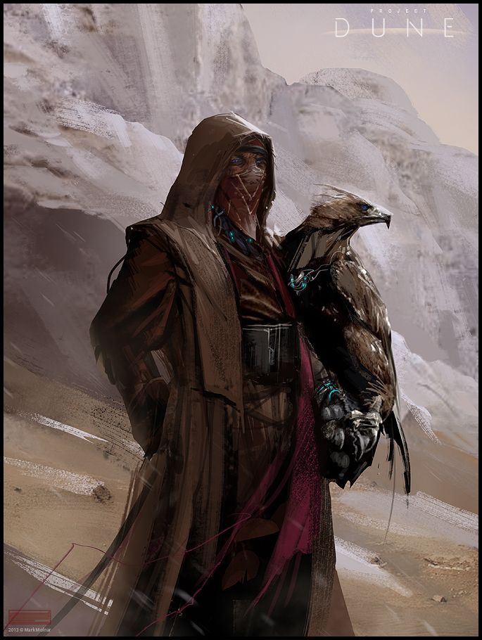 Dune Fremen Eagle Hunter by Mark Molnar | Scrolller