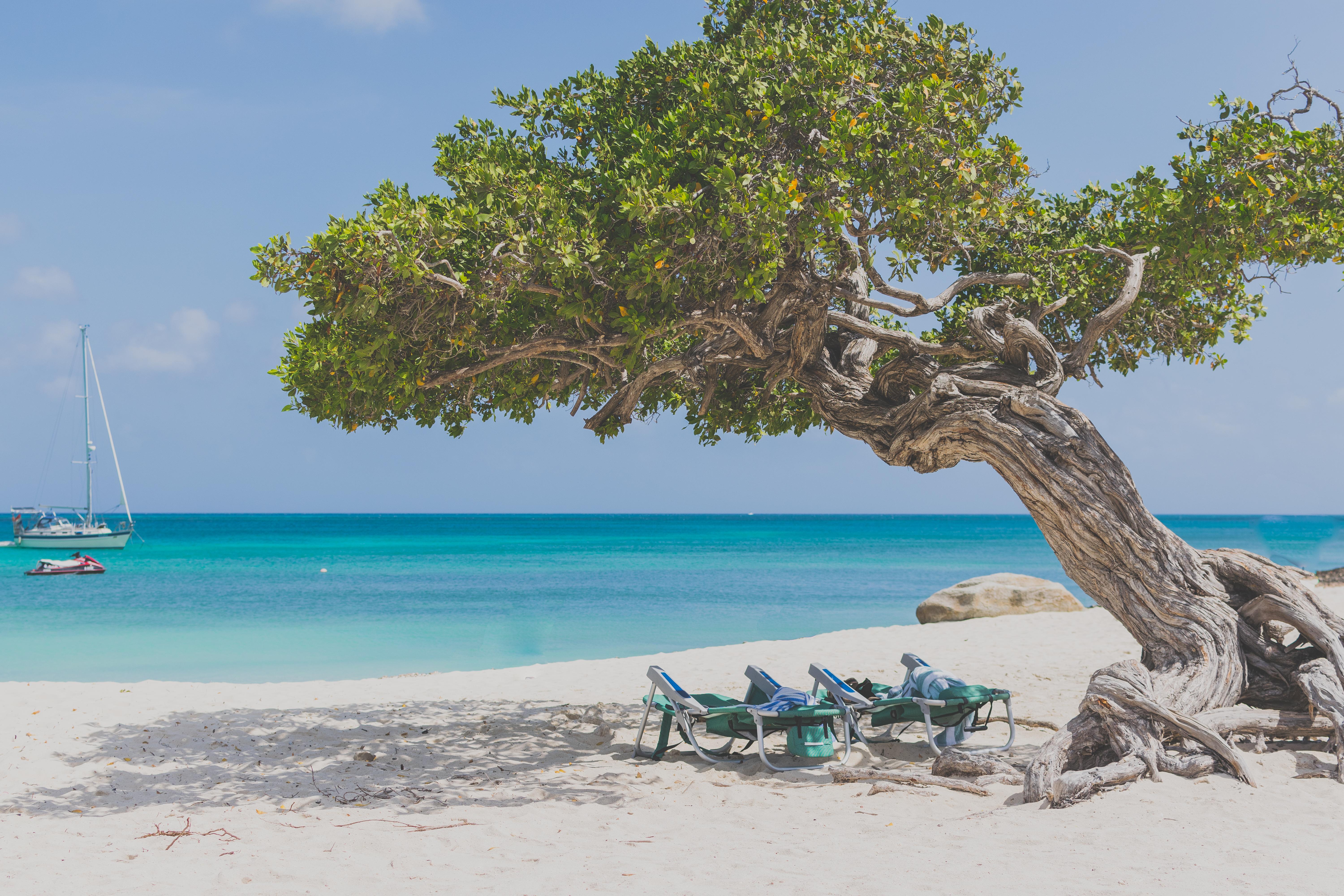 Eagle Beach is one of the best! | Scrolller