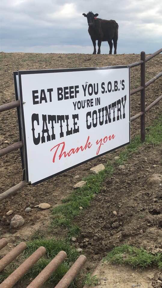 Eat Beef! | Scrolller