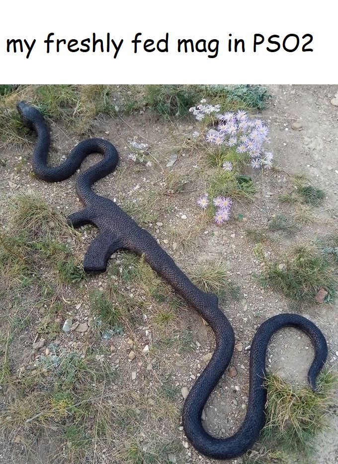 eat up buddy boy!!!!!!!!!! | Scrolller