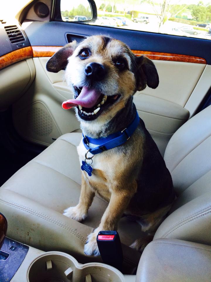 Edgar, cheesin' for the camera | Scrolller