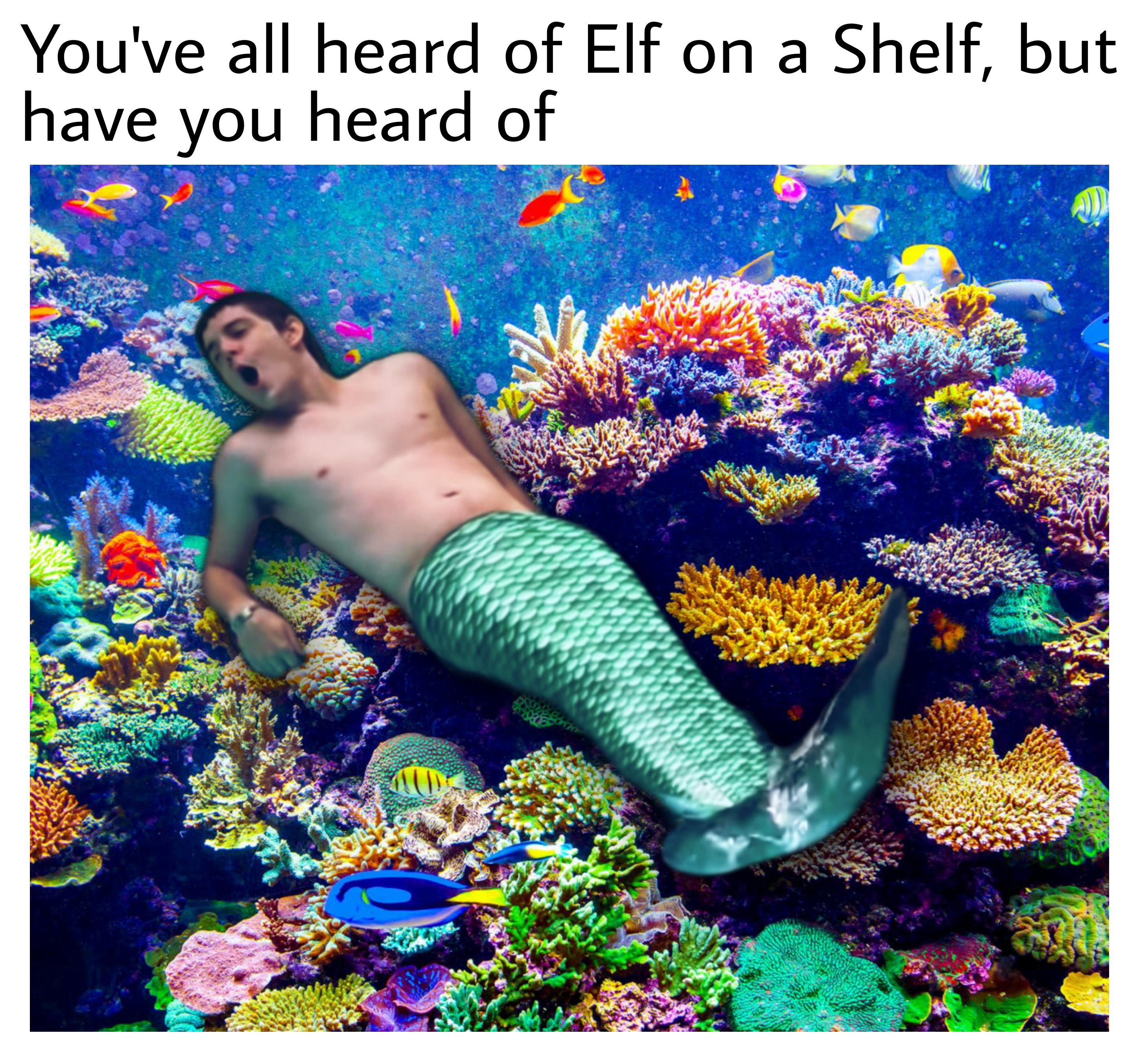 Eef on a Reef | Scrolller