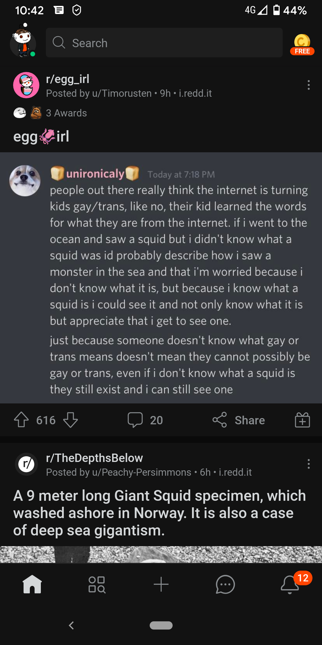 Egg_irl | Scrolller