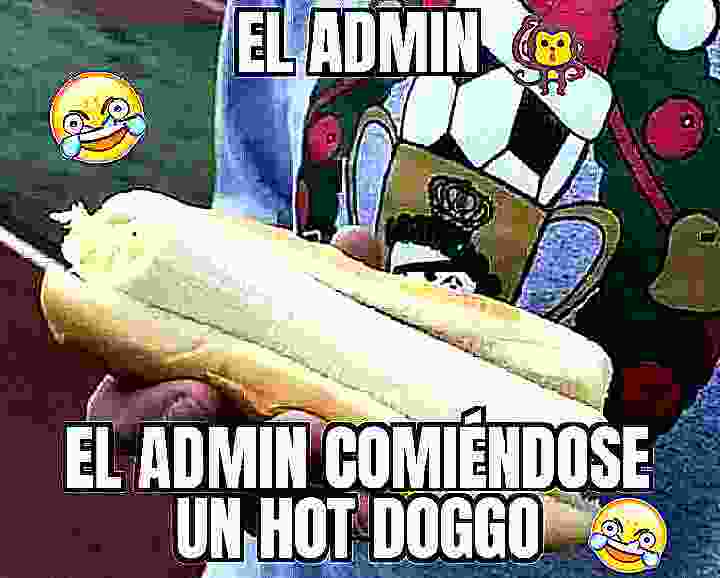 El hot doggo del admin 🐒🌭 | Scrolller