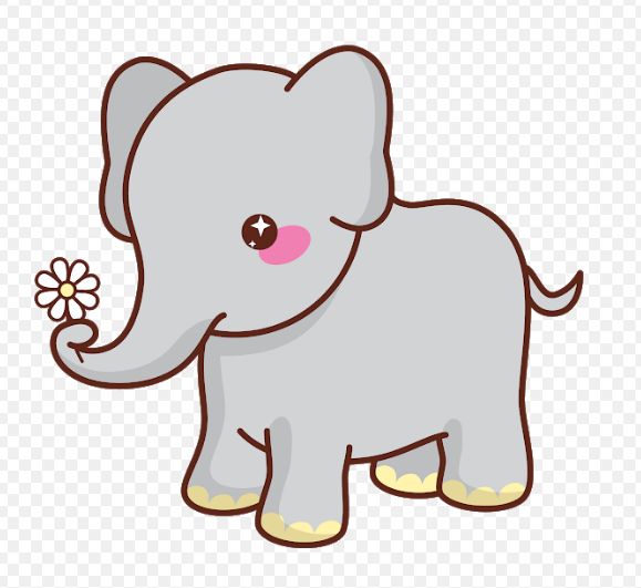 Elephant! | Scrolller