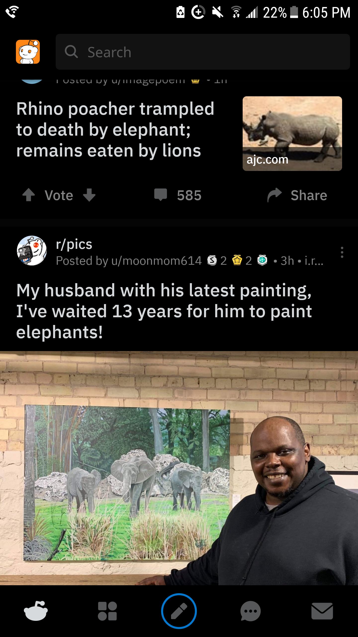 elephant | Scrolller