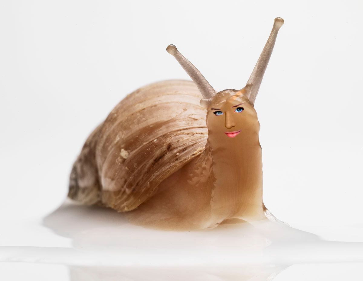 Elizabeth Snail | Scrolller