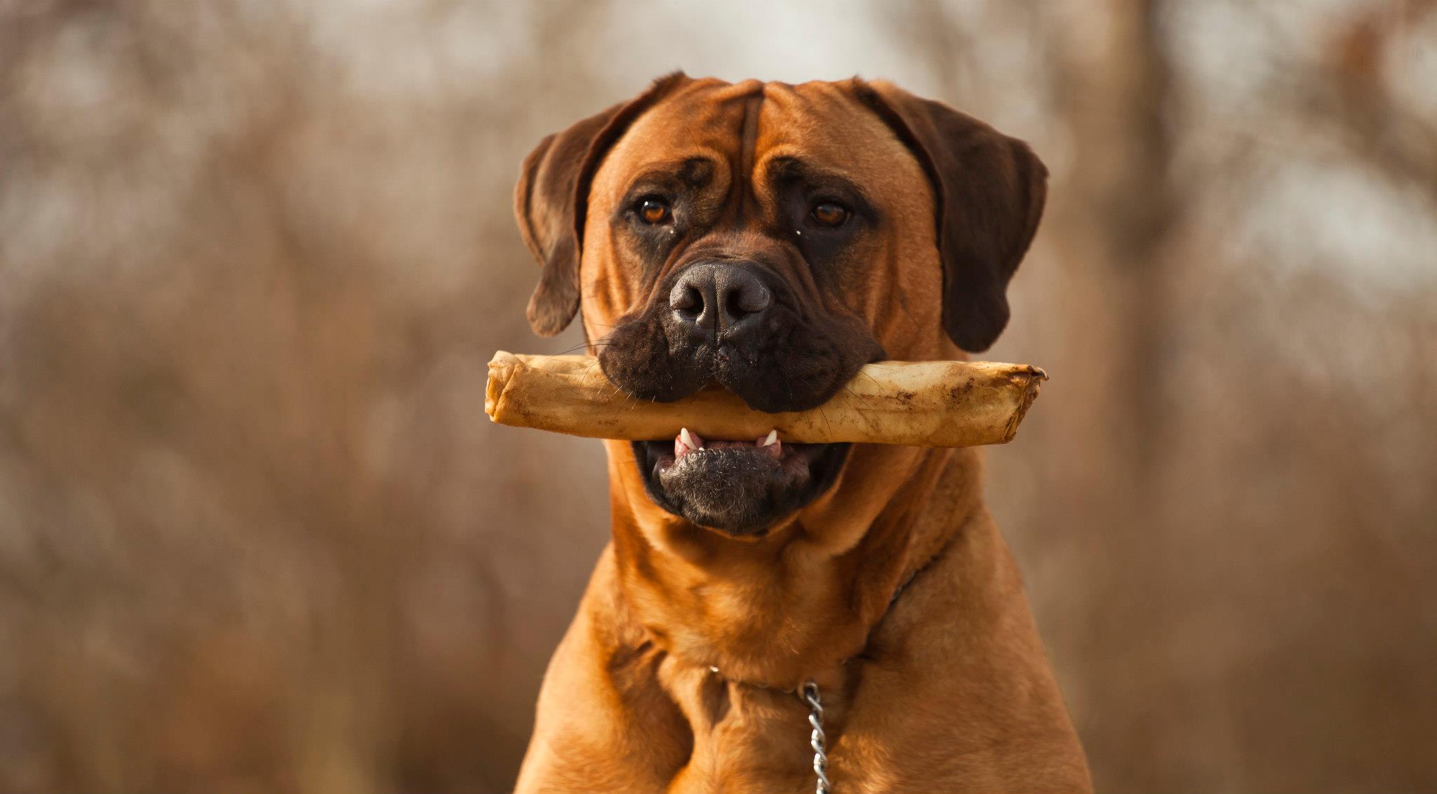 Ella and some Creamy Bokeh | Scrolller