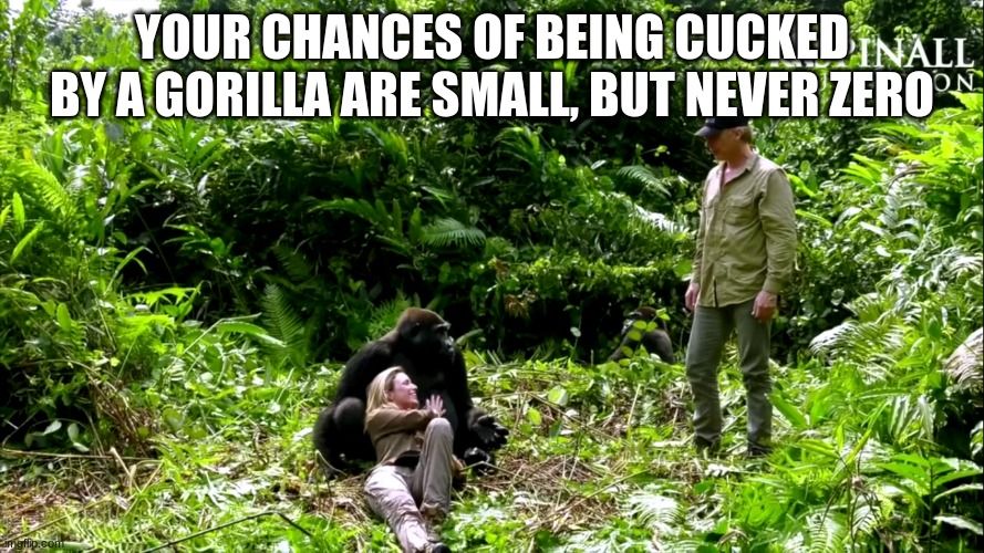 embrace monke | Scrolller