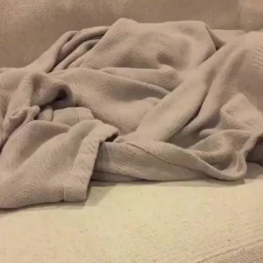 Emerging triumphant | Scrolller