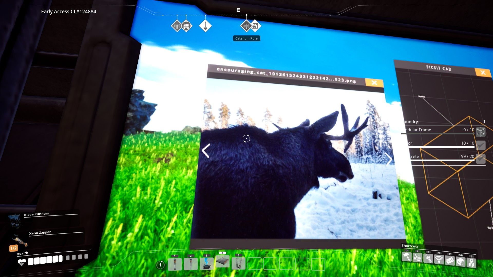 Encouraging_cat | Scrolller