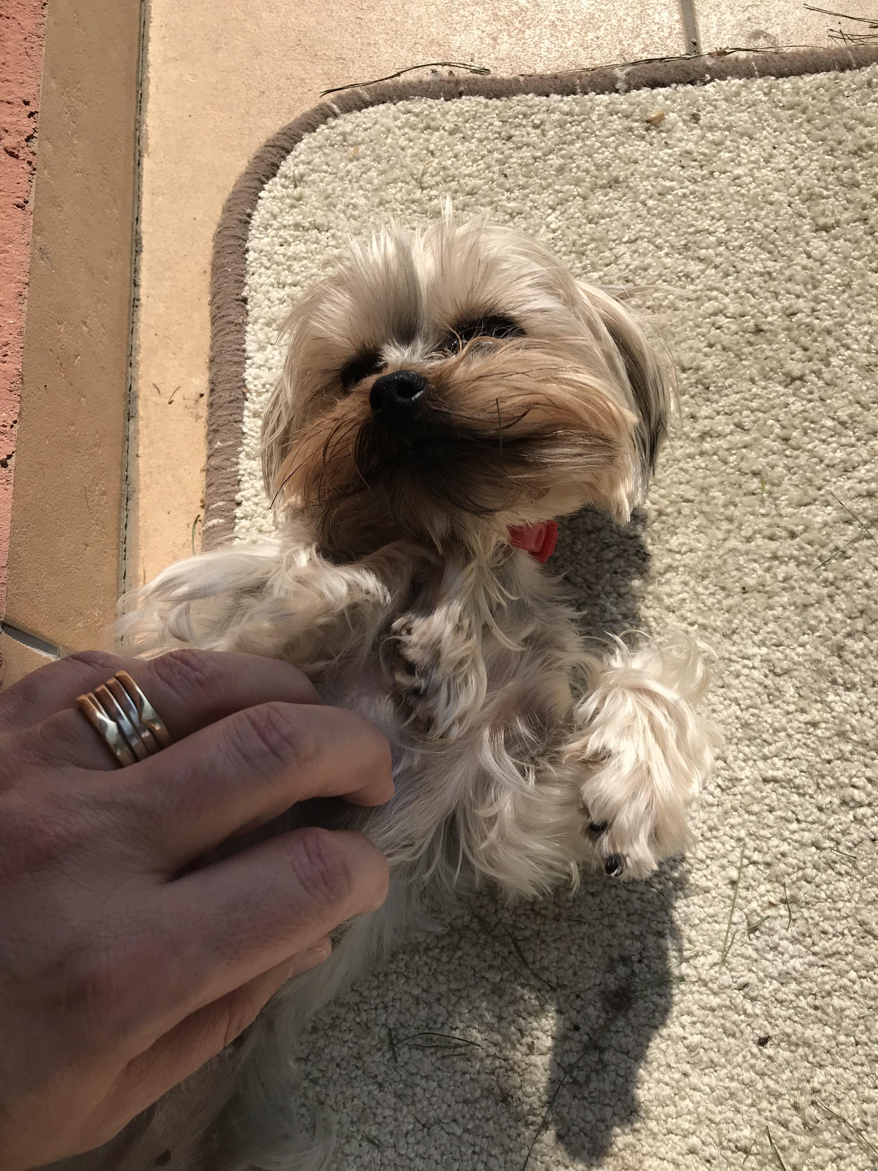 Enjoy The Sun Scrolller