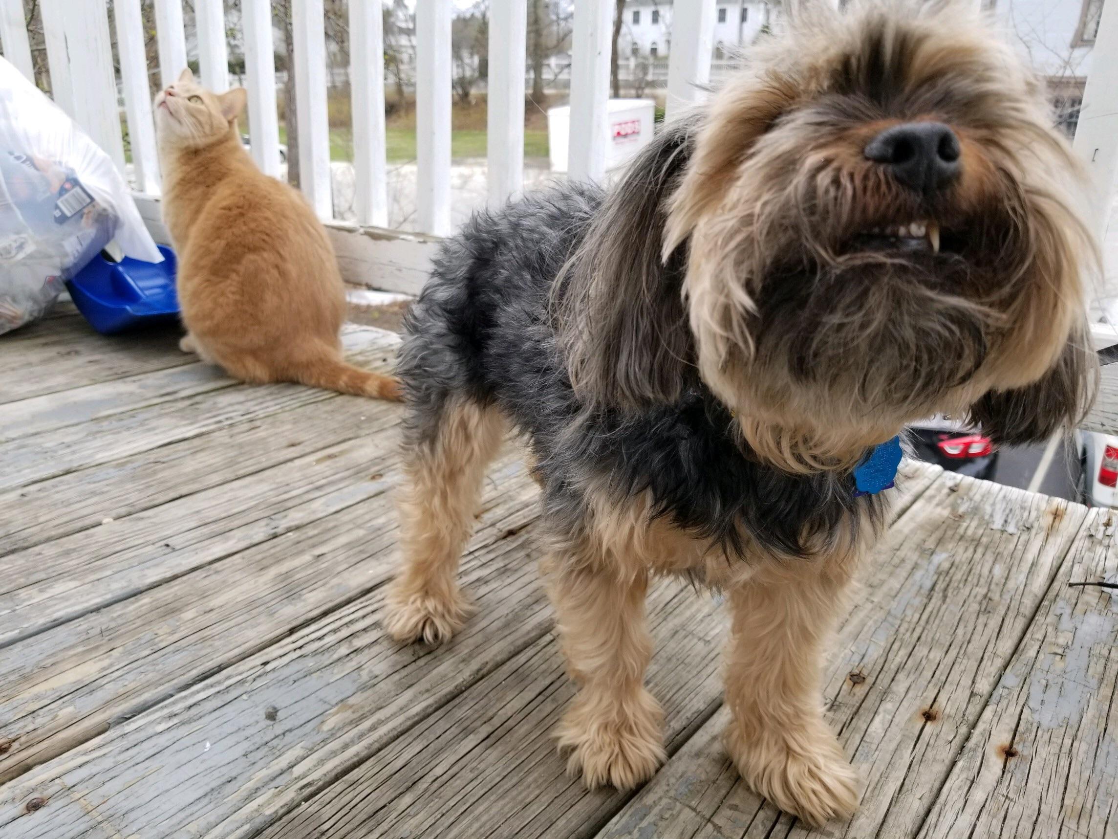 Enjoying the nice weather | Scrolller