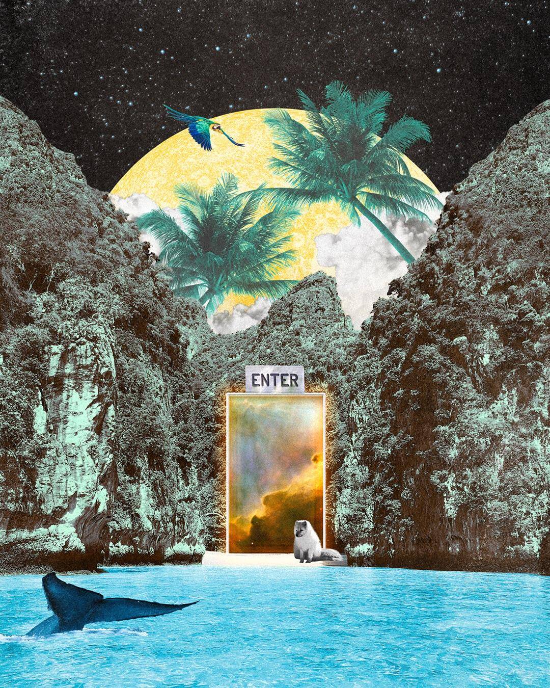 Enter Paradise [digital] | Scrolller