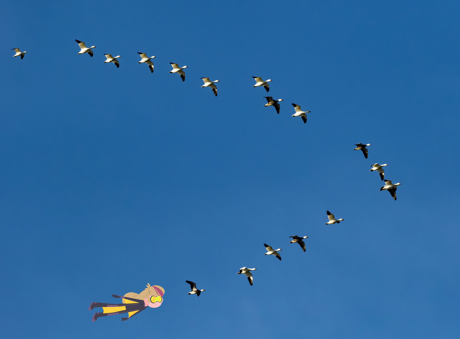 Ered Migration | Scrolller