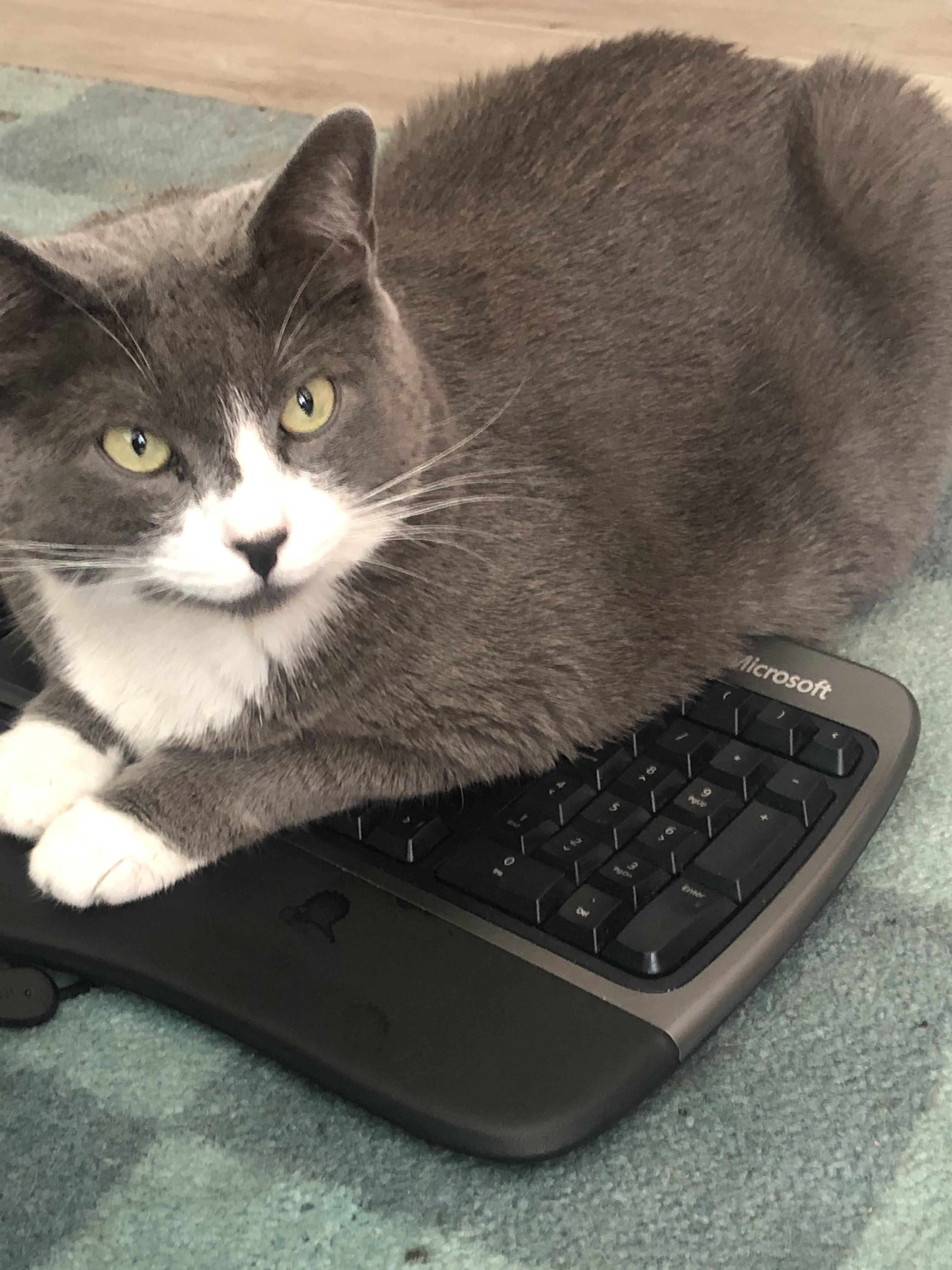 Ergonomic | Scrolller