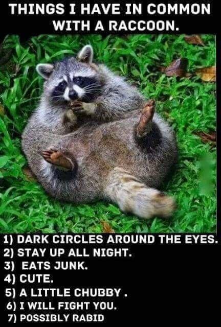 Especially #5 | Scrolller