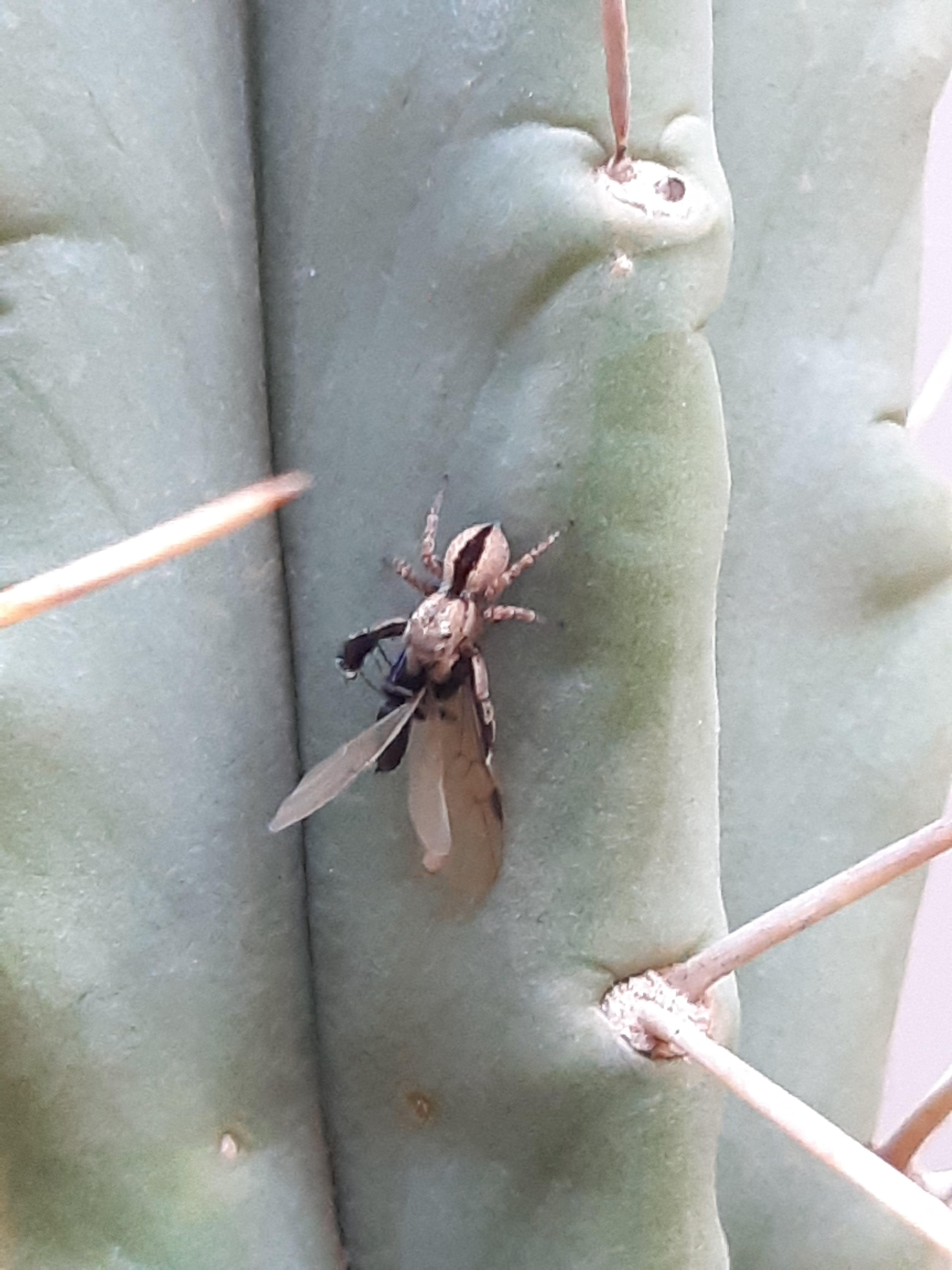 Essential worker. | Scrolller