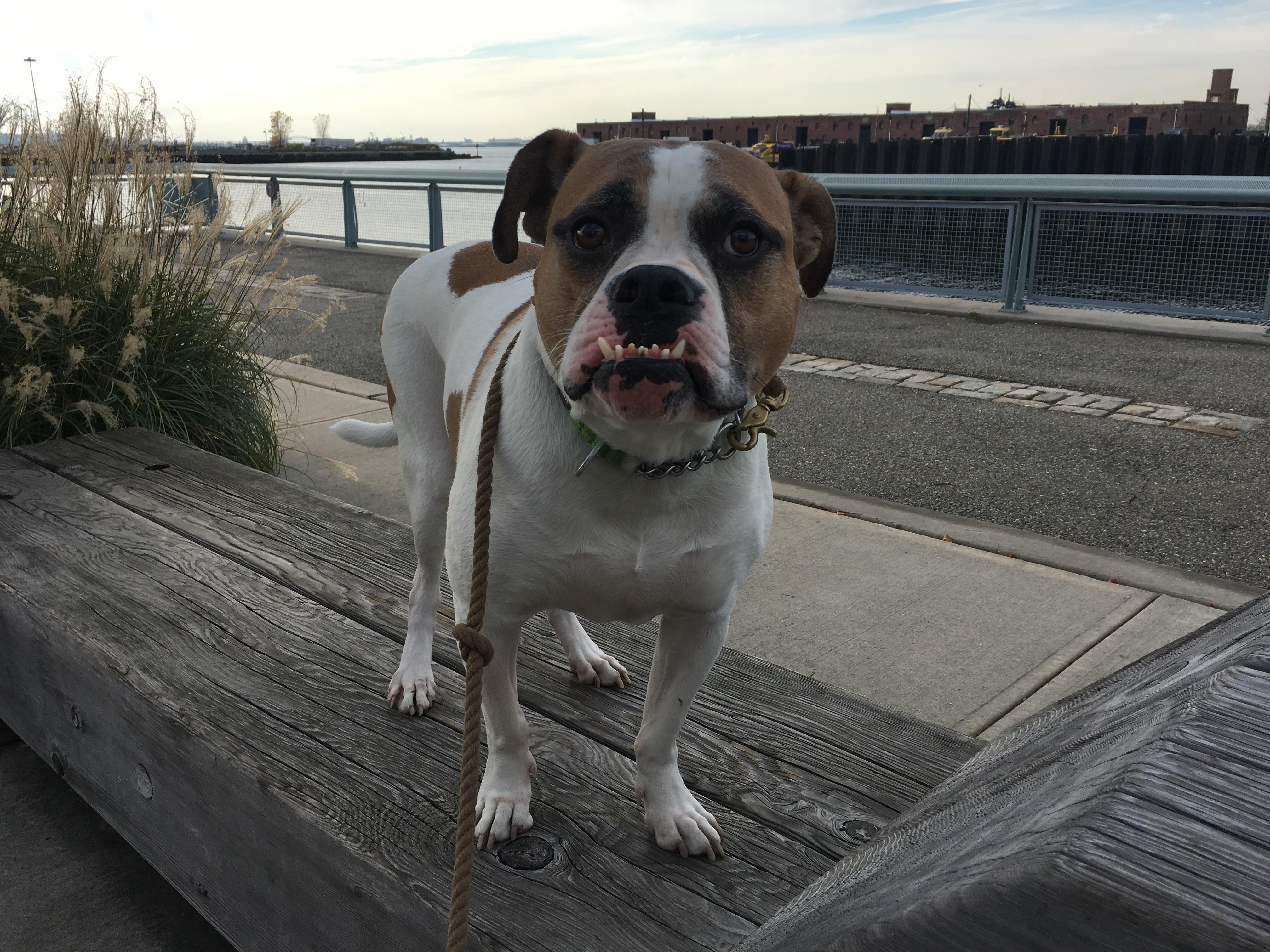 Eugene is always concerned. | Scrolller