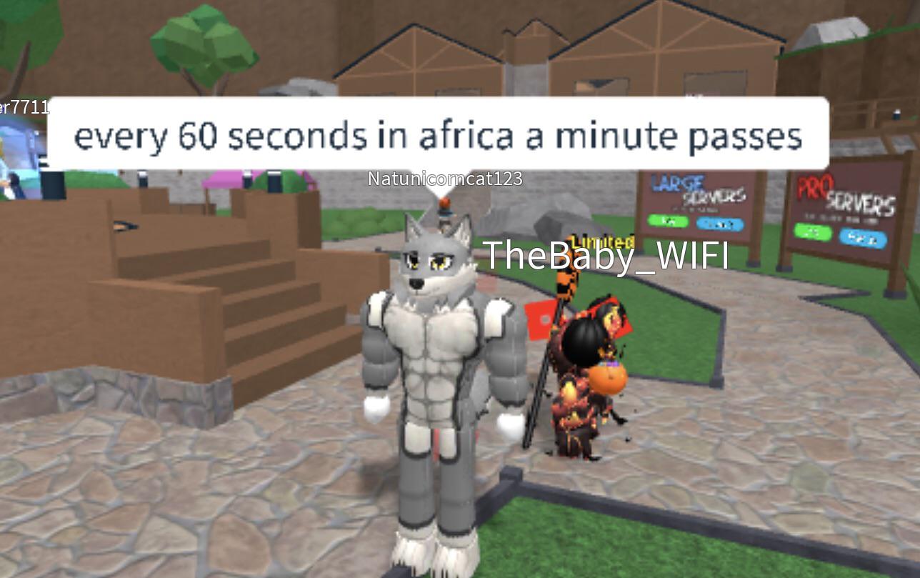 every 60 seconds | Scrolller