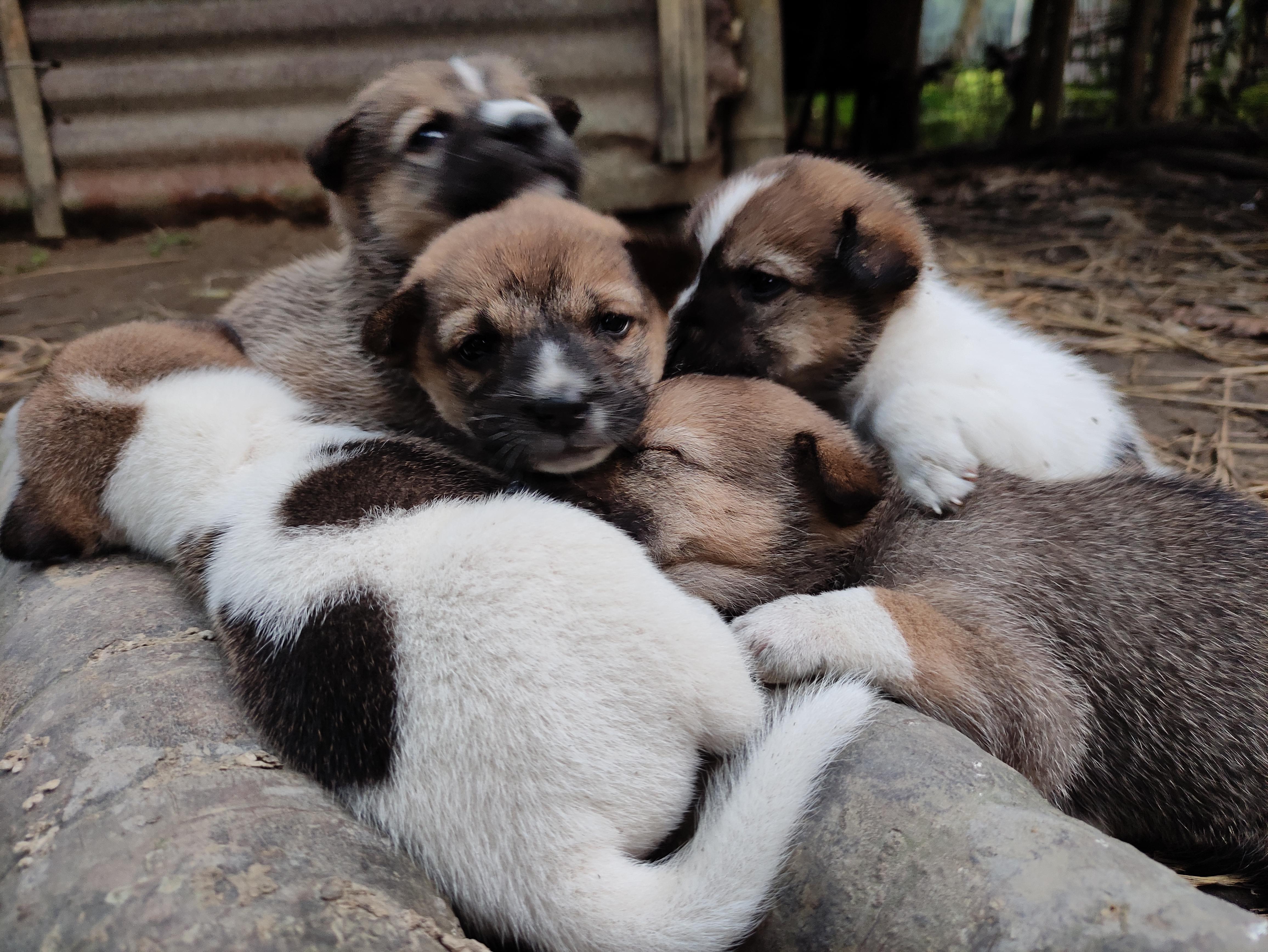 Every group photo ever. | Scrolller