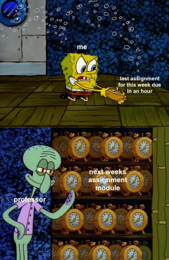 every sunday | Scrolller