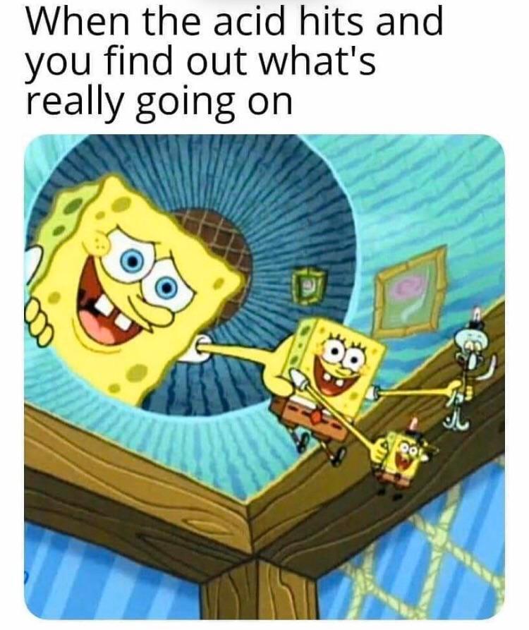 Everybody deserves to know... | Scrolller