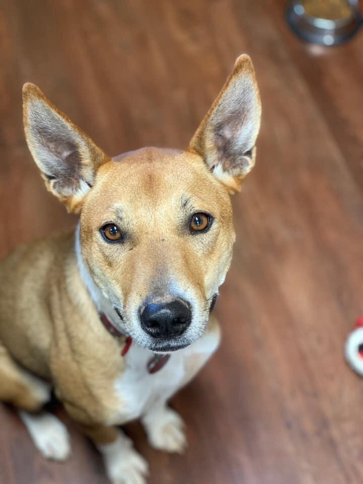 Everybody meet ladybug | Scrolller