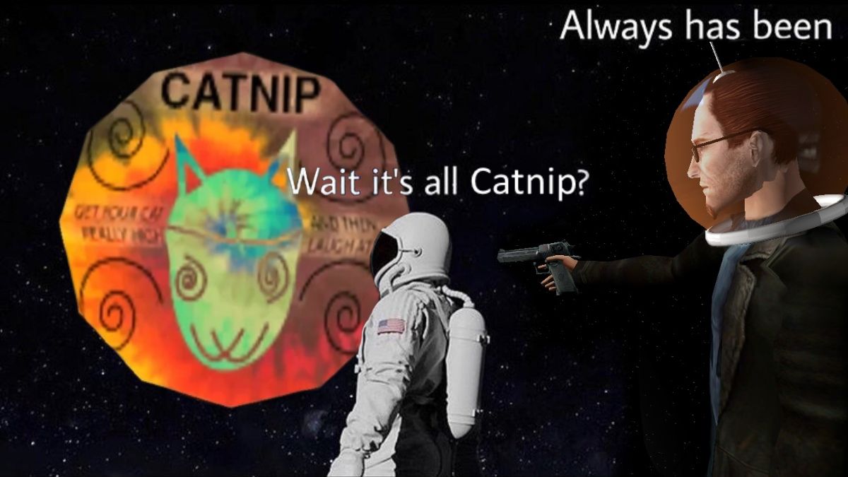 Everything actually moves much faster we all just live on a huge tin of catnip | Scrolller