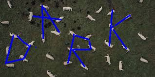 Everything is connected! | Scrolller