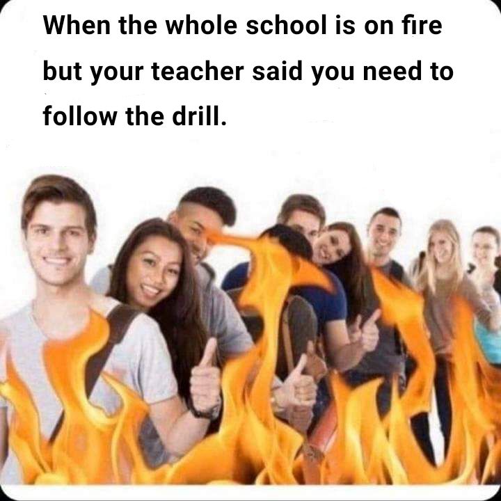 Everything is fine | Scrolller