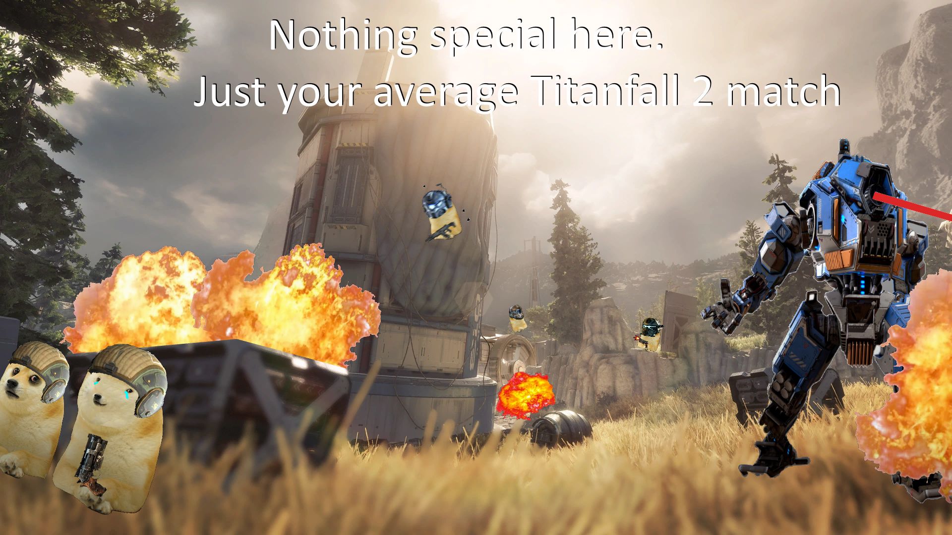 Everything´s fine | Scrolller