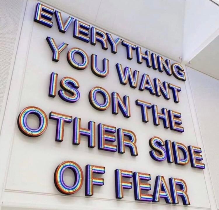 Everything you want is on the other side of fear | Scrolller