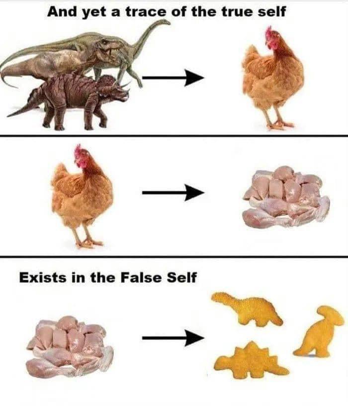 Evolution at its finest | Scrolller
