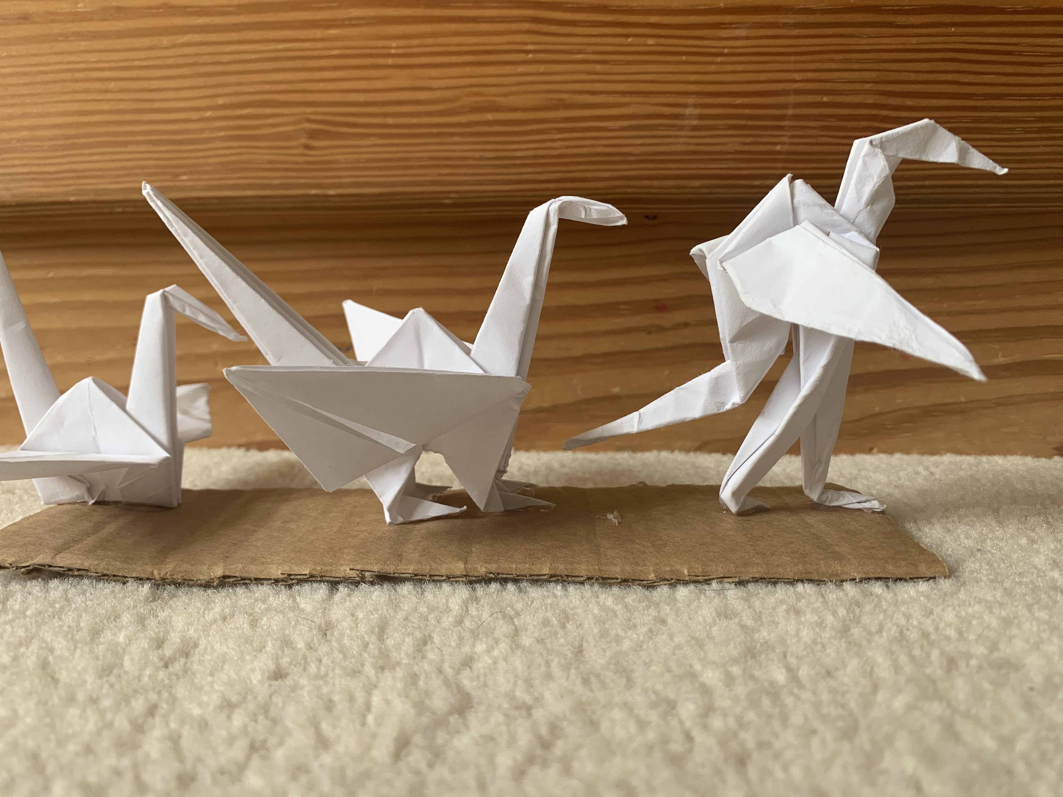 Evolution, designed by me | Scrolller