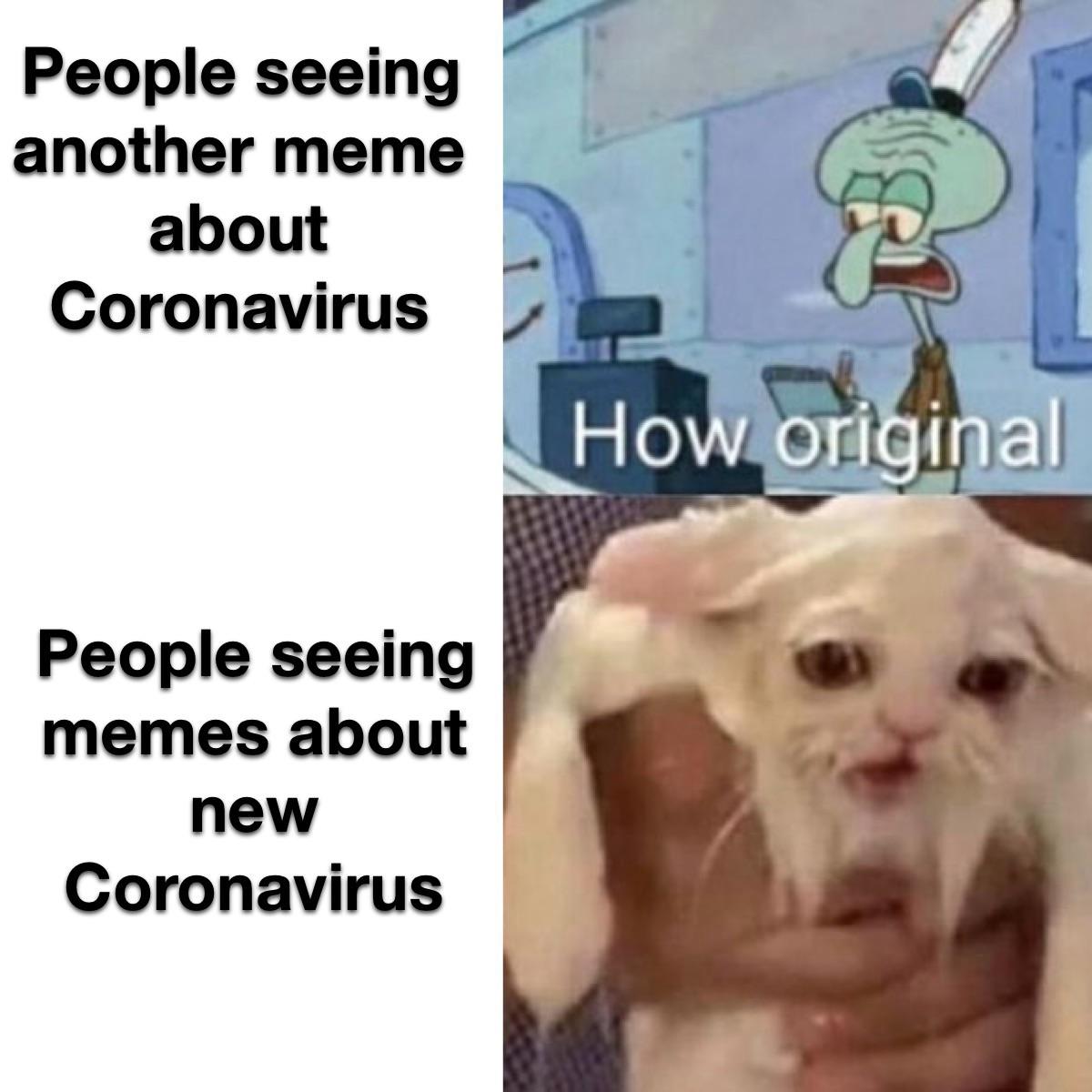 Evolution Scrolller 2358