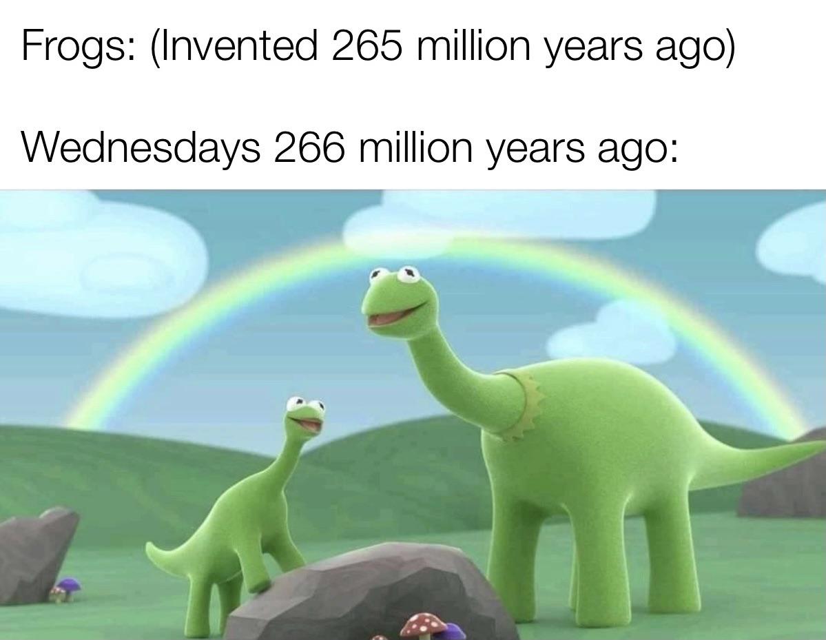 Evolution is an amazing thing, indeed | Scrolller