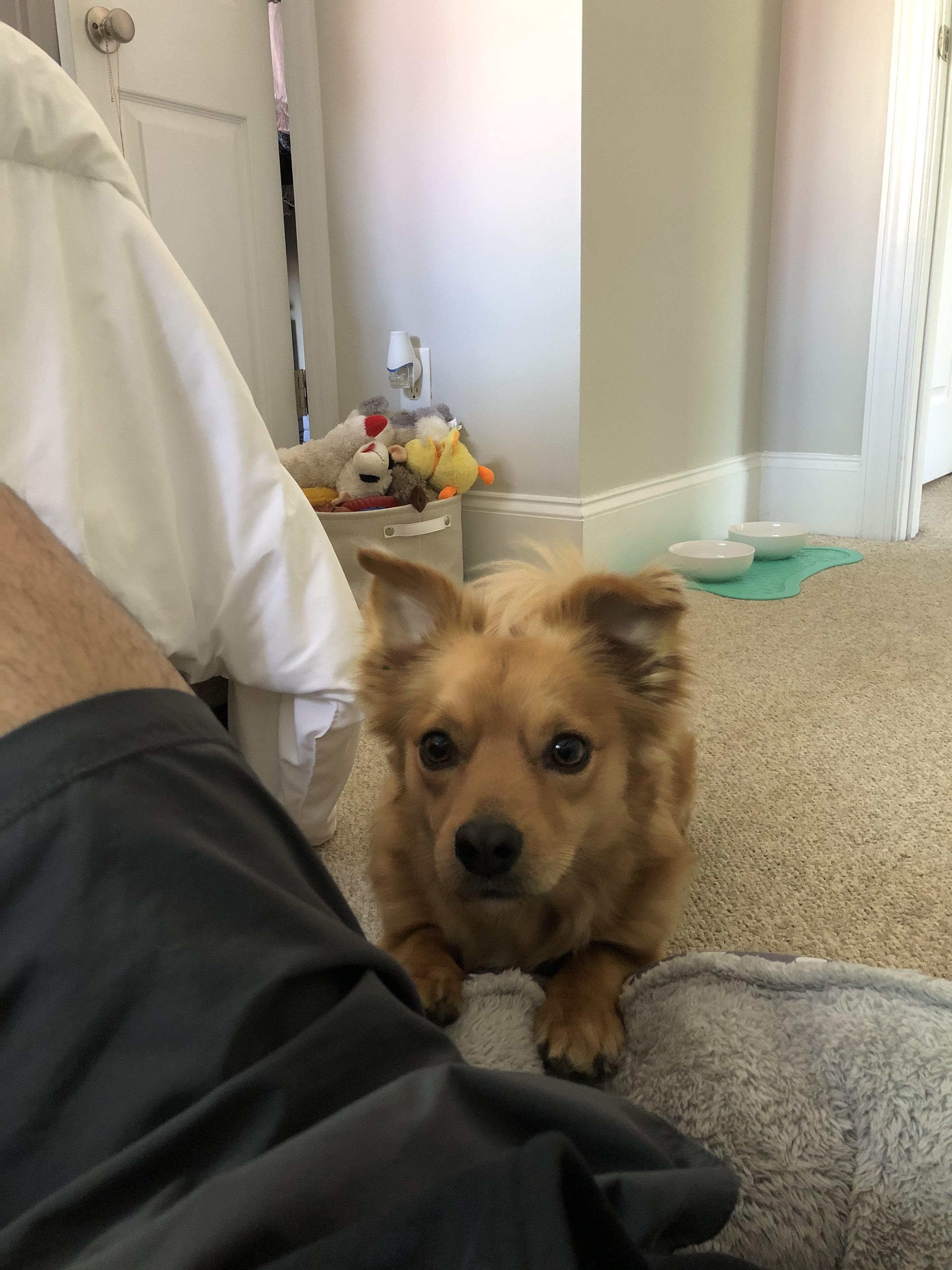 Excuse you hooman pls leave | Scrolller