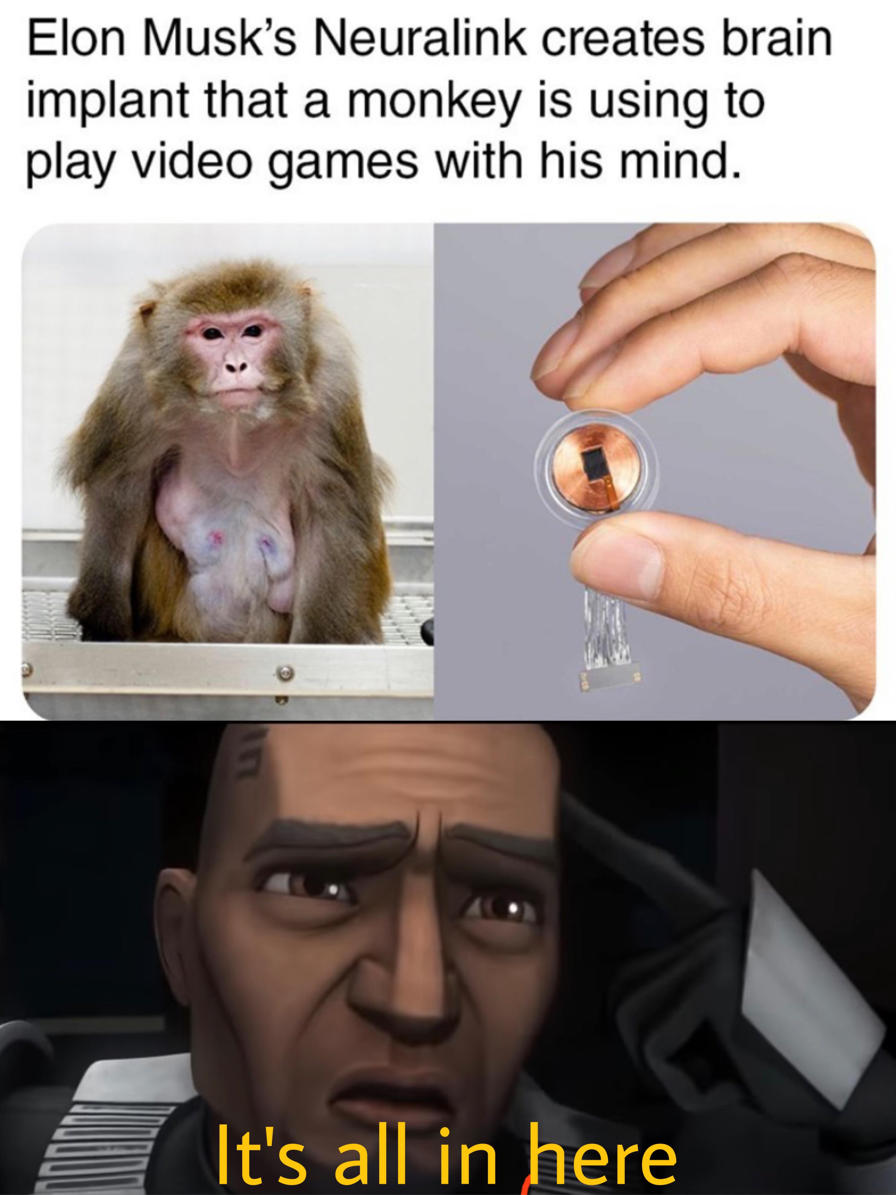 Execute Order 66 | Scrolller