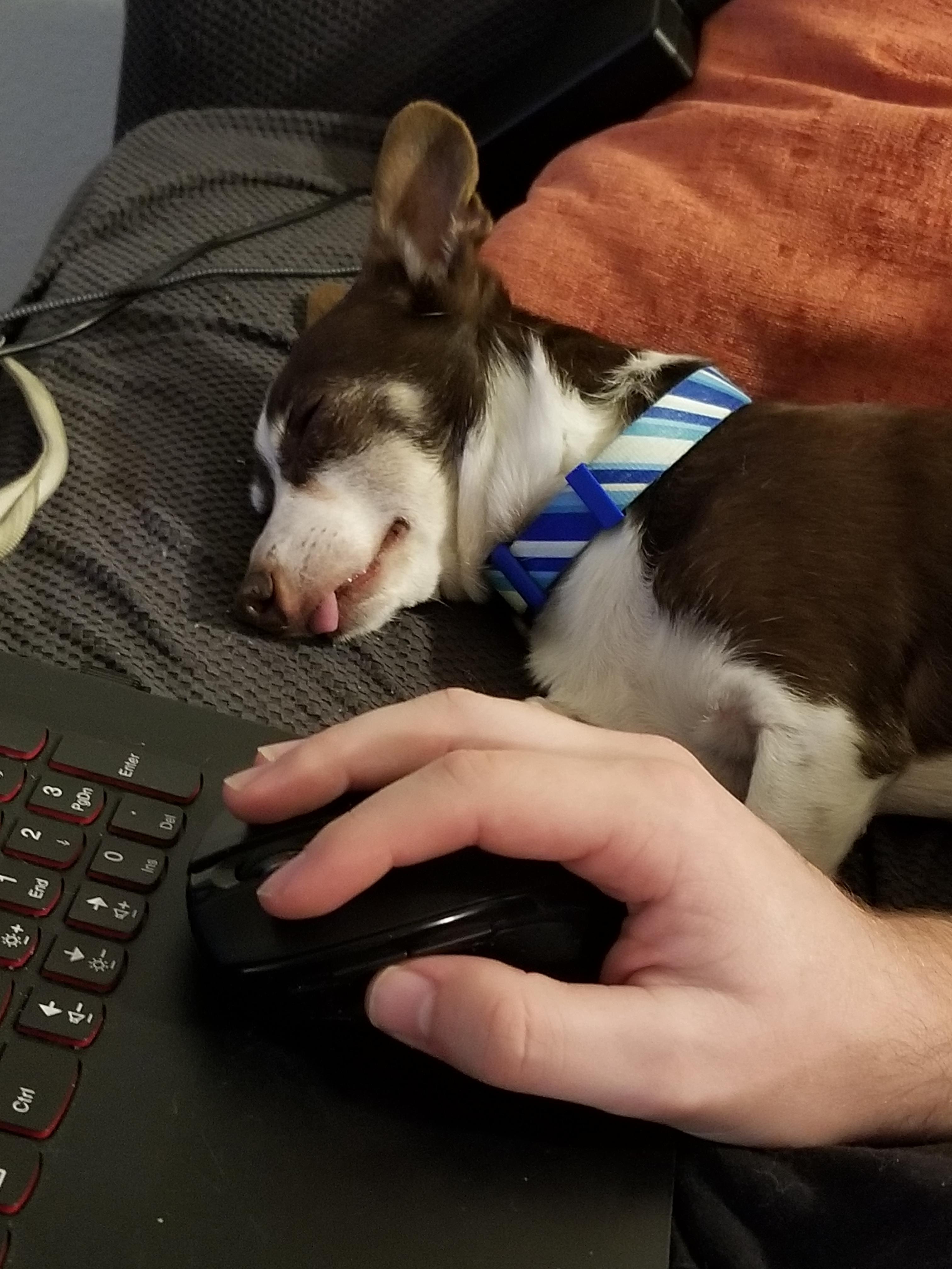 Exhausted old man Blop | Scrolller