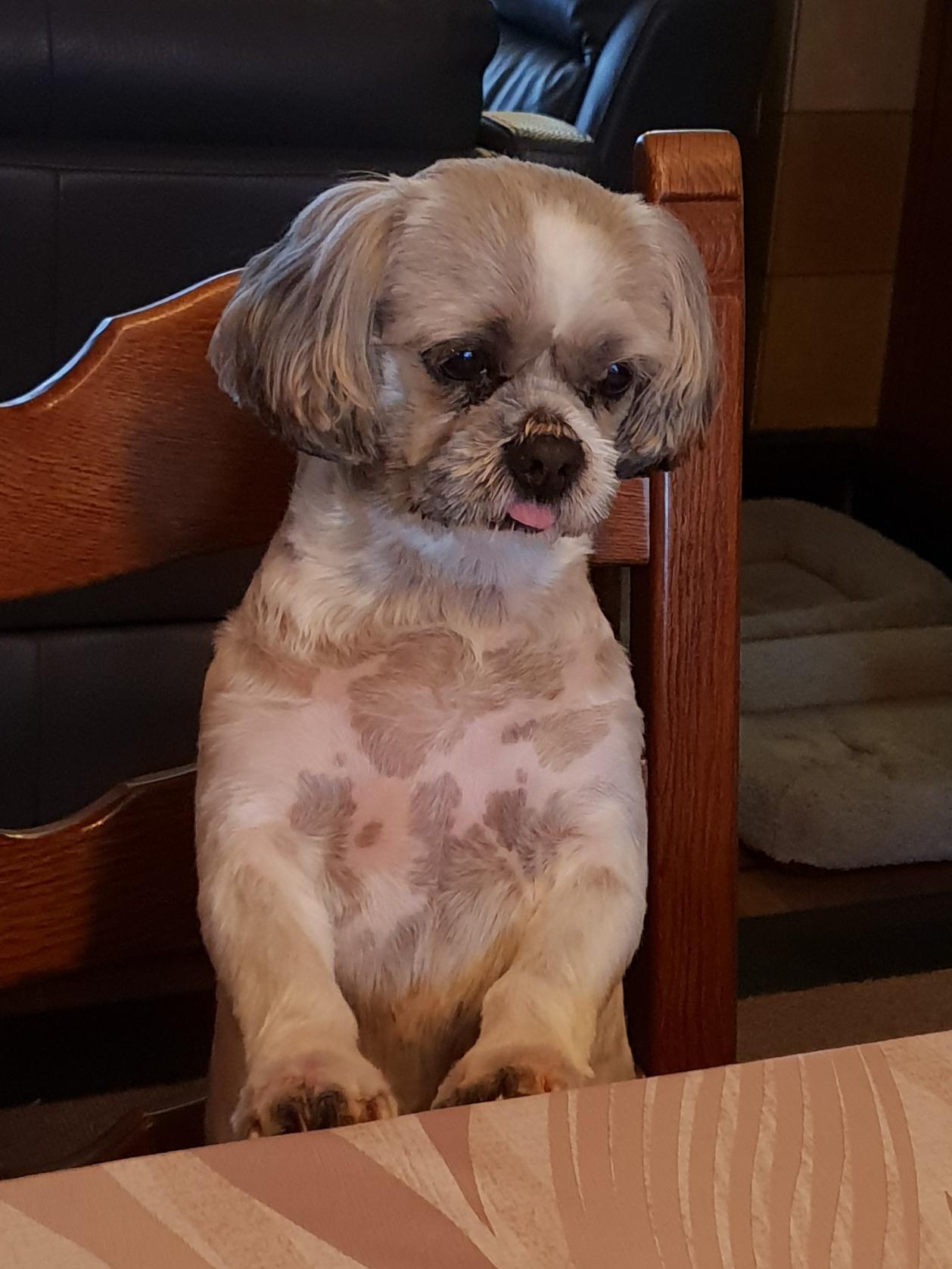 Existential crisis blop | Scrolller
