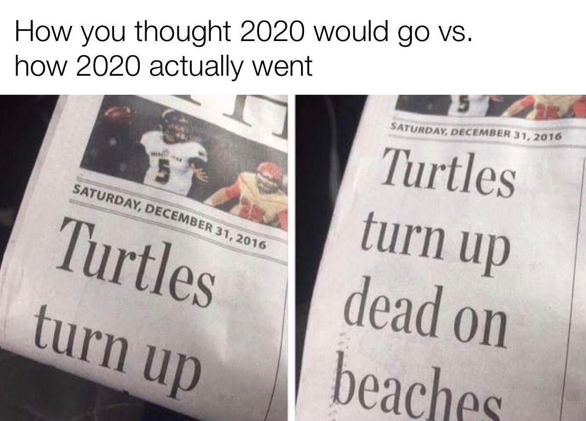 Expectations vs reality | Scrolller