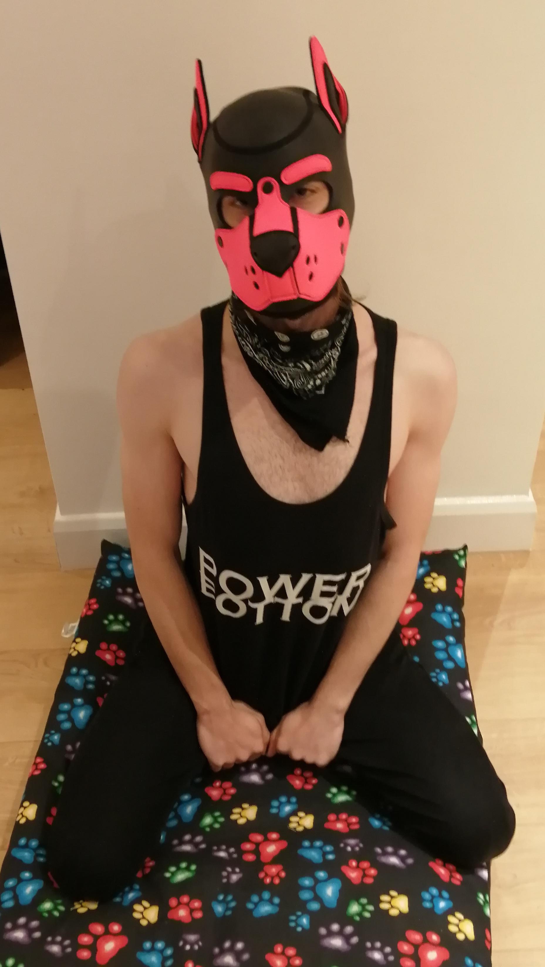 Extended time out 🐾 | Scrolller