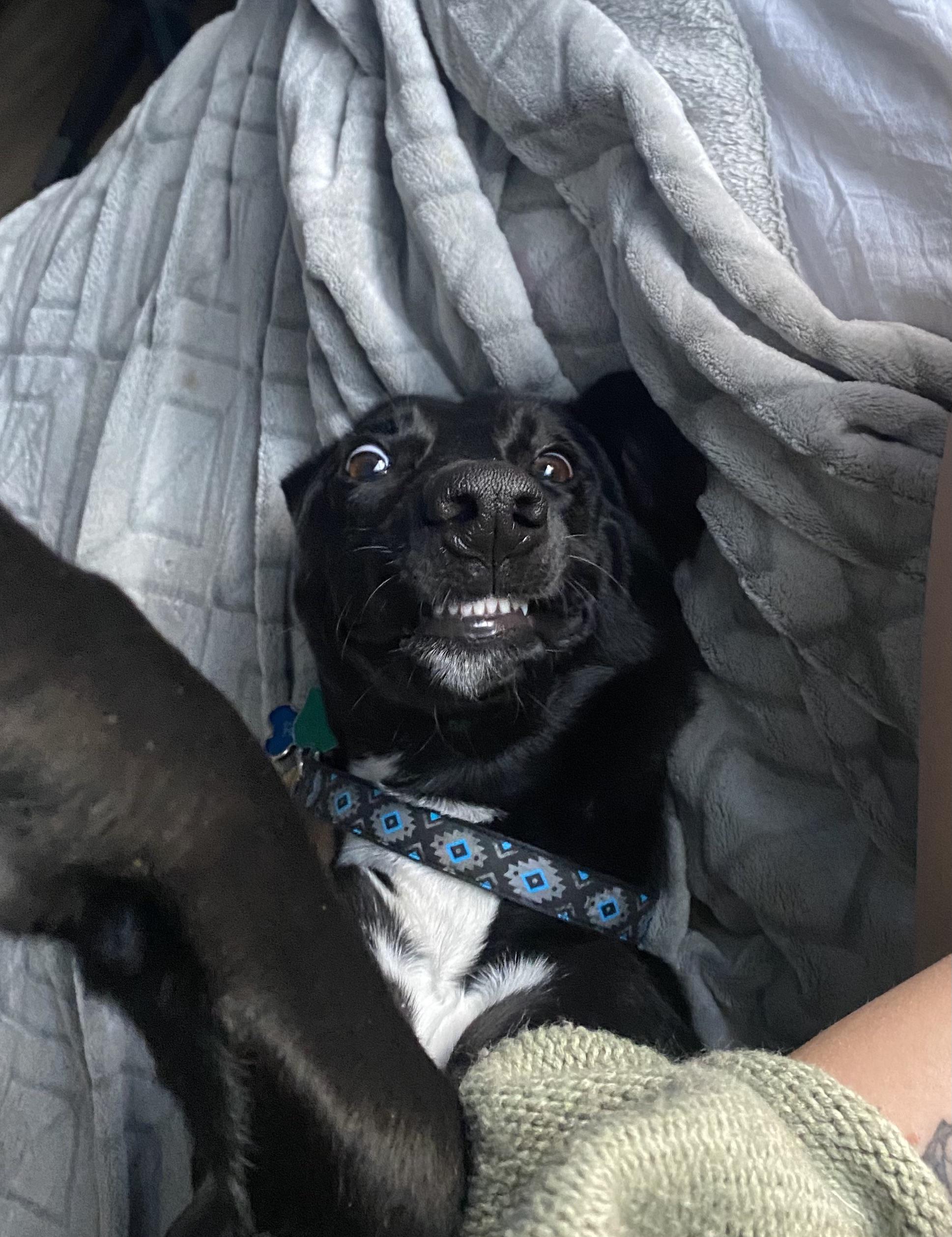 Extra Cheesy | Scrolller