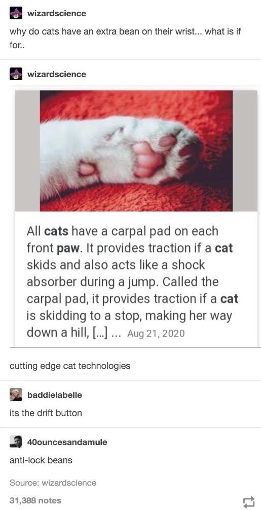 Extra squishy | Scrolller