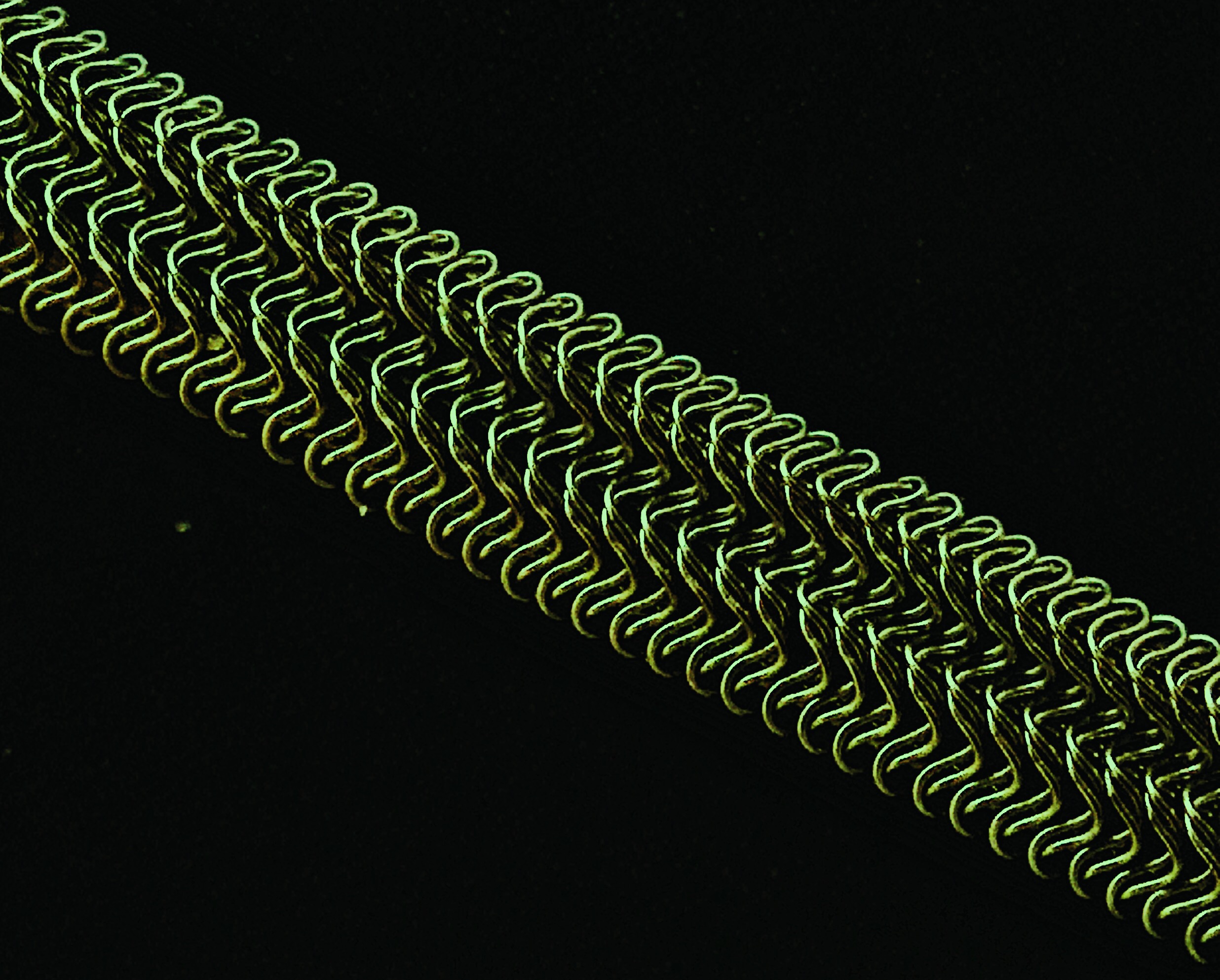 Extra. Terrestrial. | Scrolller