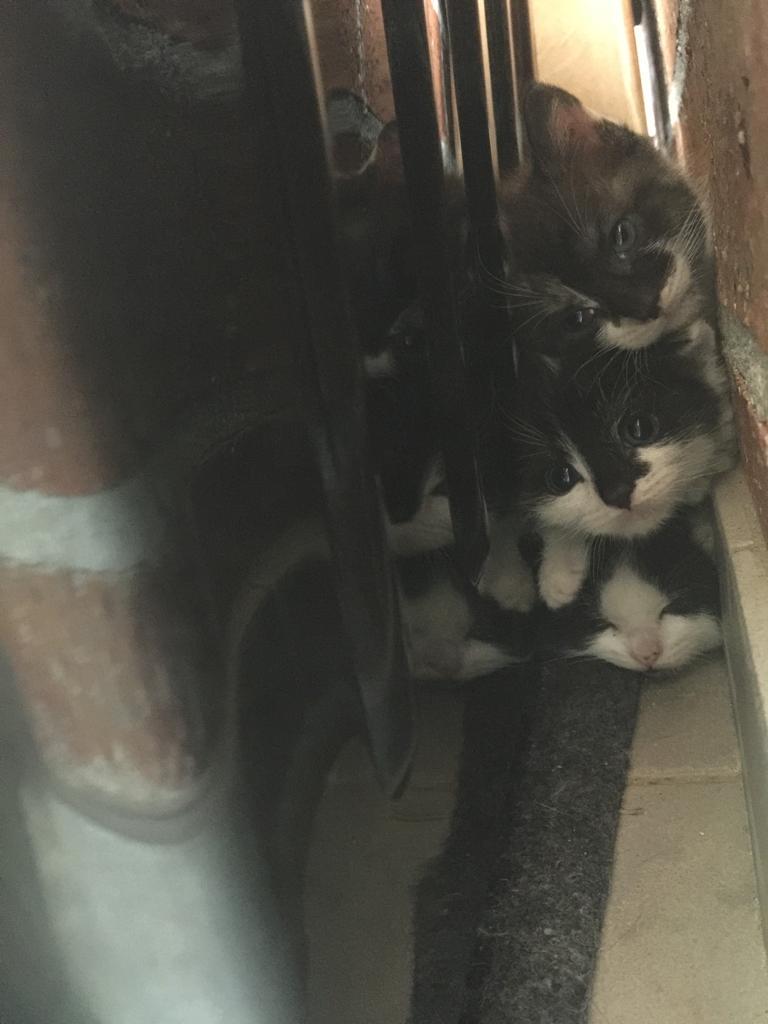 Extra tight | Scrolller