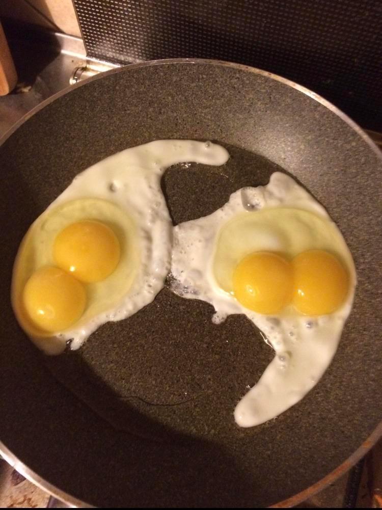 Extra yolks in eggs | Scrolller